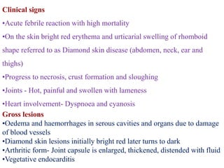 DIAMOND SKIN DISEASE.pptx
