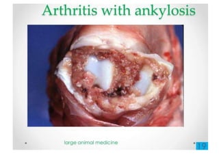 DIAMOND SKIN DISEASE.pptx