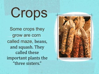 Diamonte and luis | PPT