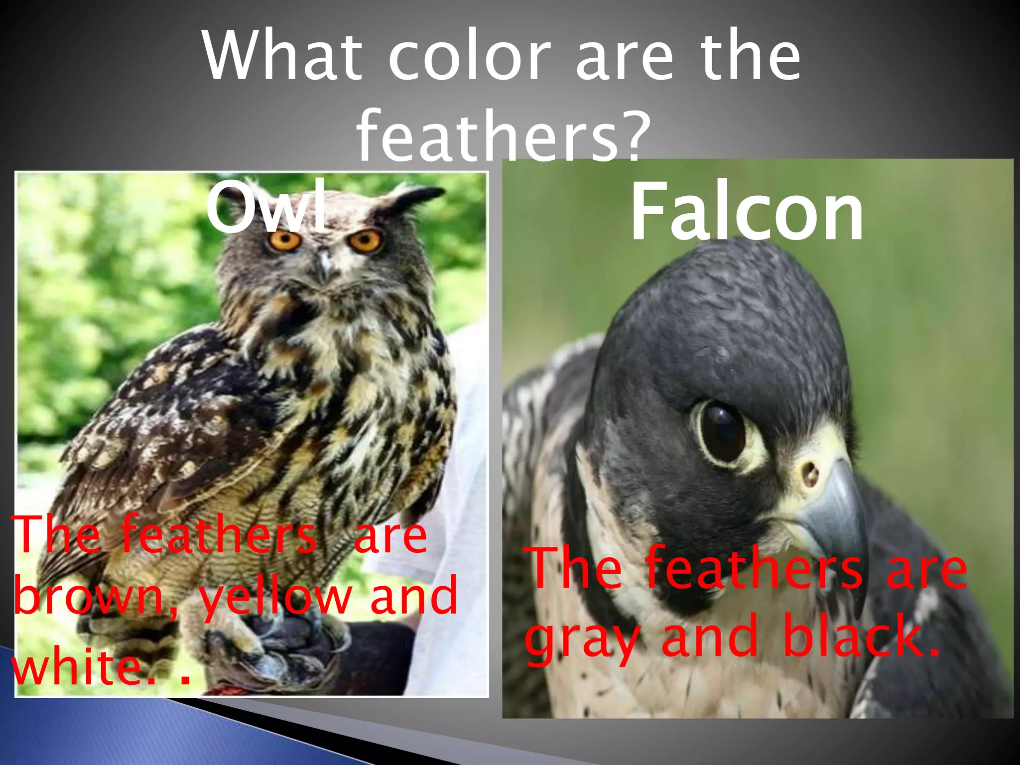 Diana marcela rendon 3ro | PPT