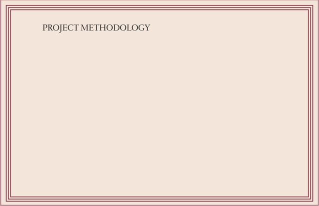 Diana Neacsu Senior Thesis 2020 Pdf