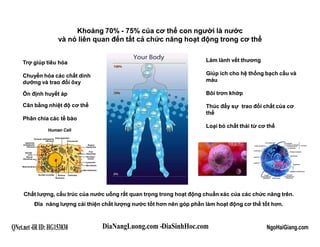 DiaNangLuongSinhHoc - QNet Viet Nam - NgoHaiGiang.com | PPT