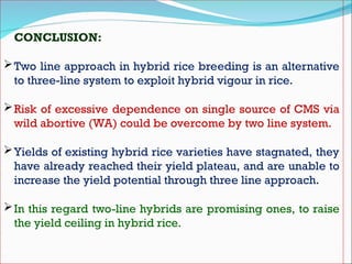 Two line approach in hybrid rice breeding | PPT