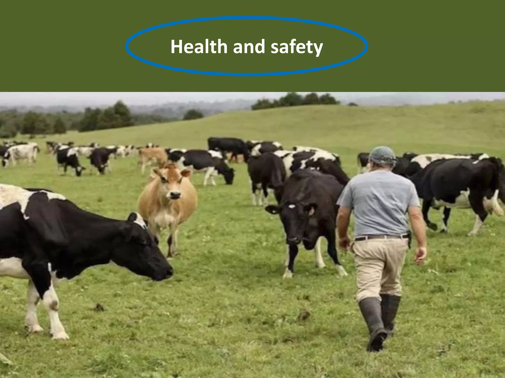Farmers' Health & Prevention | PPT