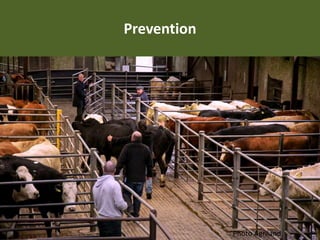 Farmers' Health & Prevention | PPTX