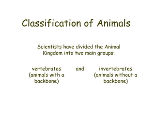 Diane Hawkins - Vertebrates Invertebrates classification | PPT
