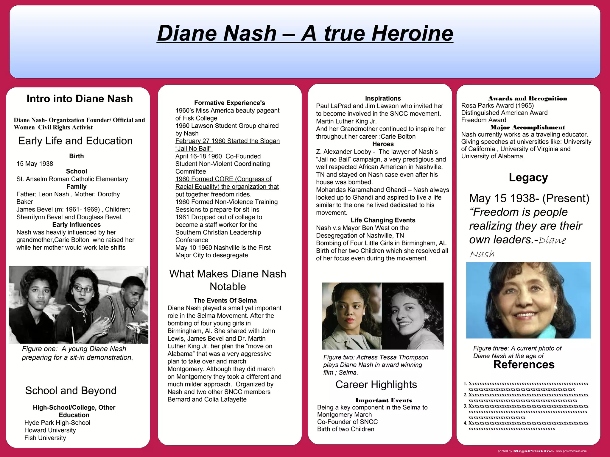 Diane nash | PPT