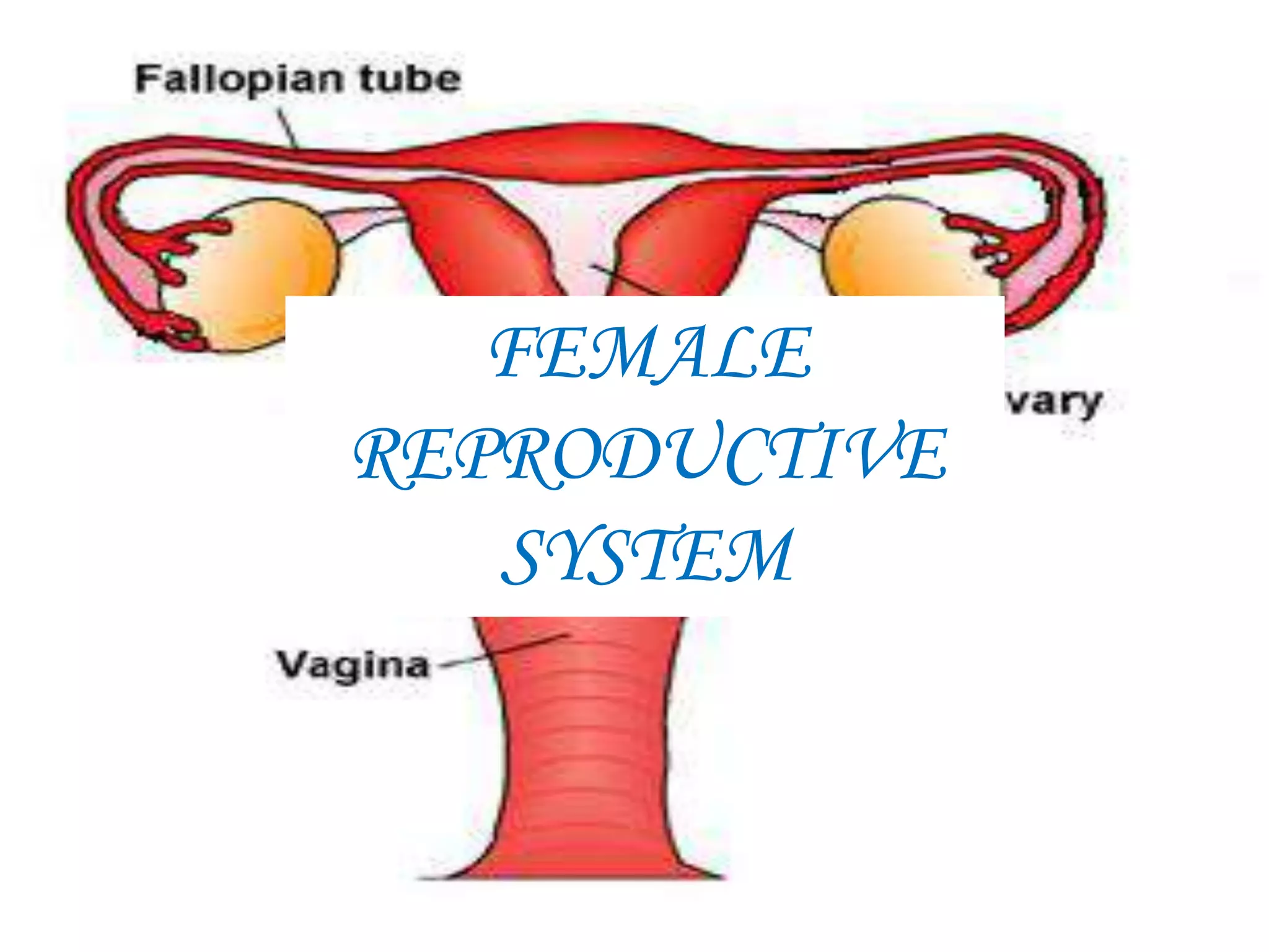 Dian princess p. capilitan..ed tech2 | PPT