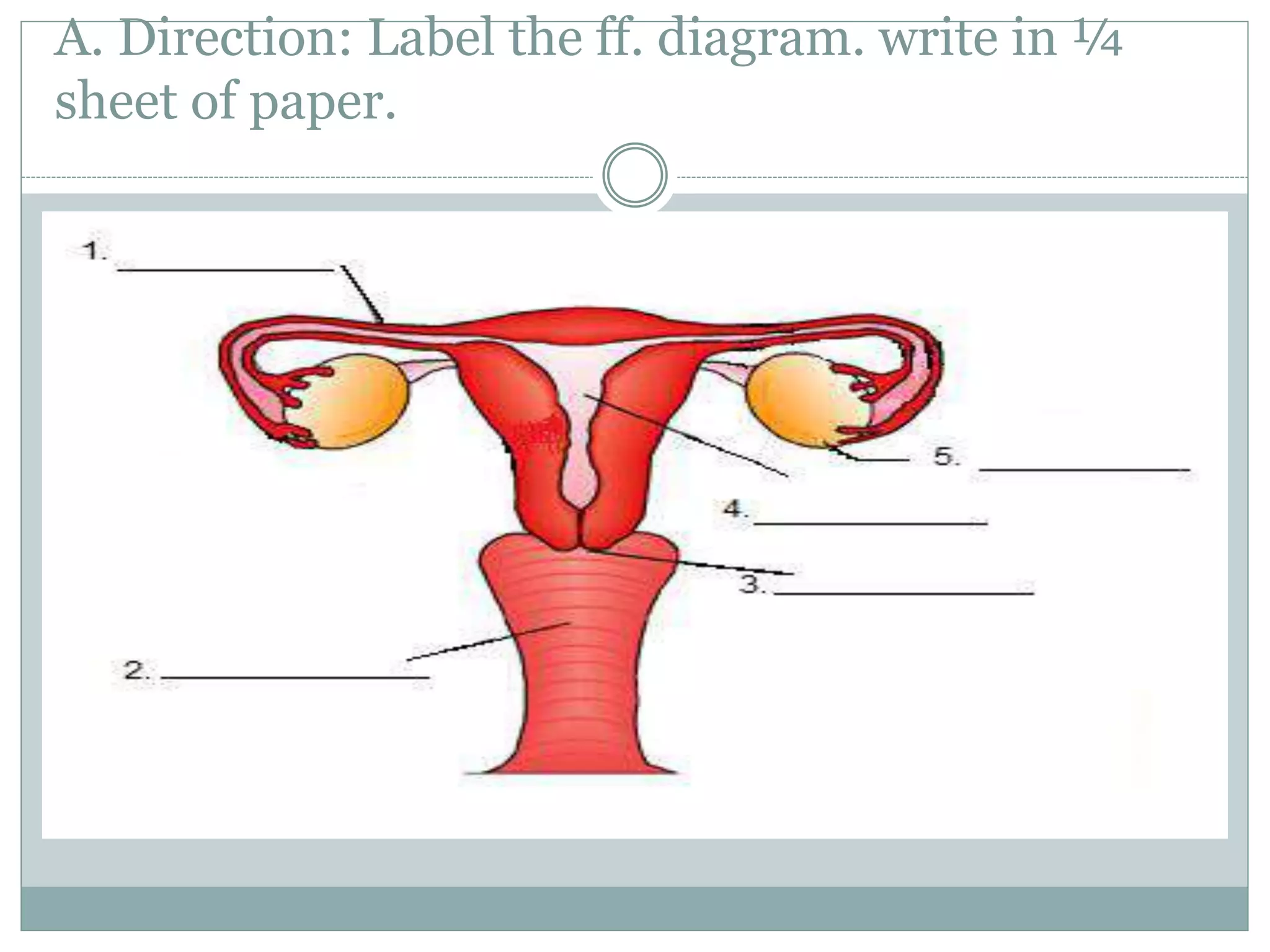 Dian princess p. capilitan..ed tech2 | PPT