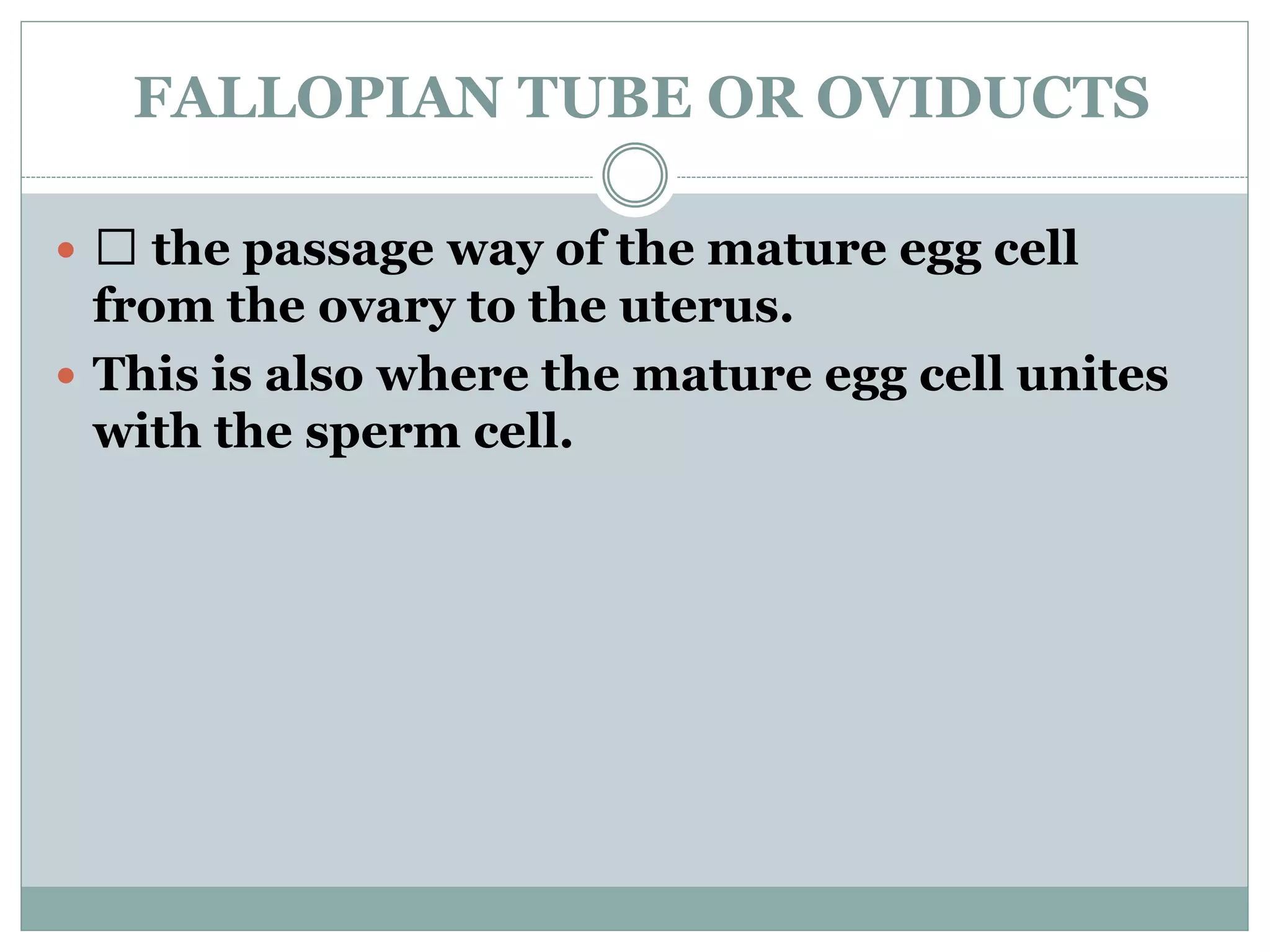 Dian princess p. capilitan..ed tech2 | PPT