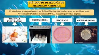 Diaopsitiva de Microbiologiapptx | PPTX | Infectious Diseases ...