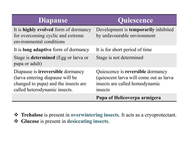 DIAPAUSE.pptx