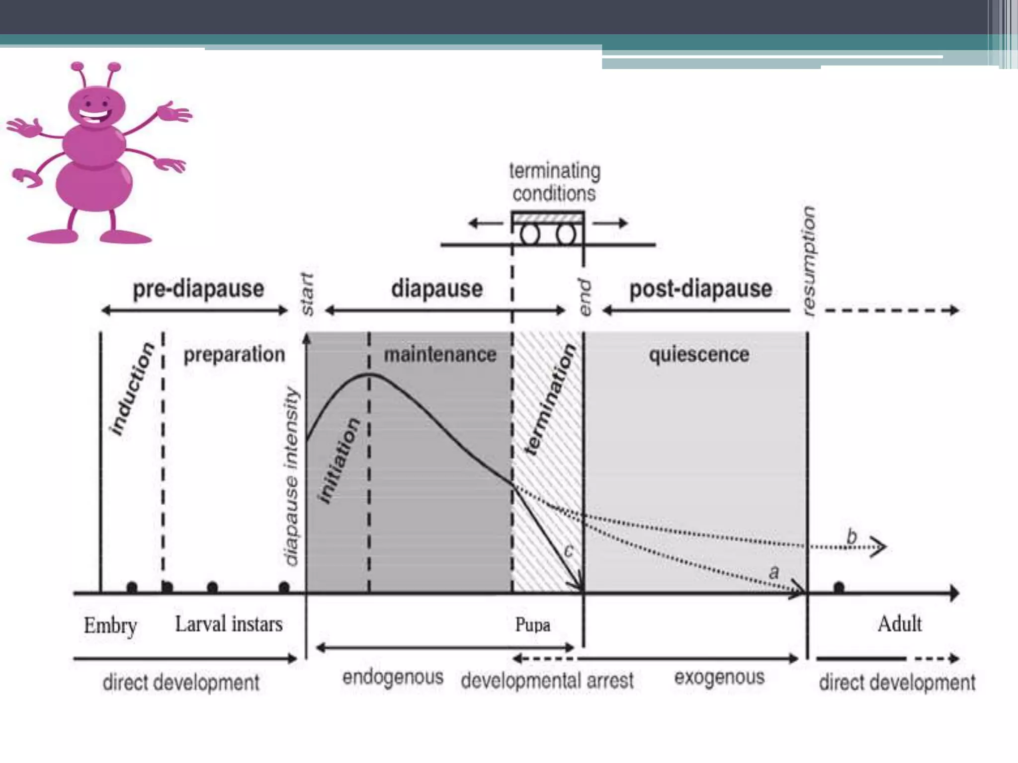 Diapause mechanism in Insects-Bismoy Mohanty | PPTX