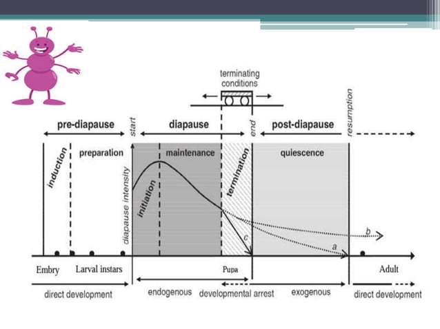 Diapause mechanism in Insects-Bismoy Mohanty | PPTX | Endocrine and ...