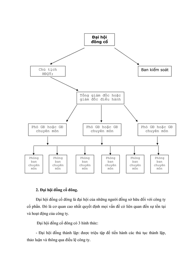 Địa vị pháp lý của công ty cổ phần trong nền kinh tế nhiều thành phần | PDF