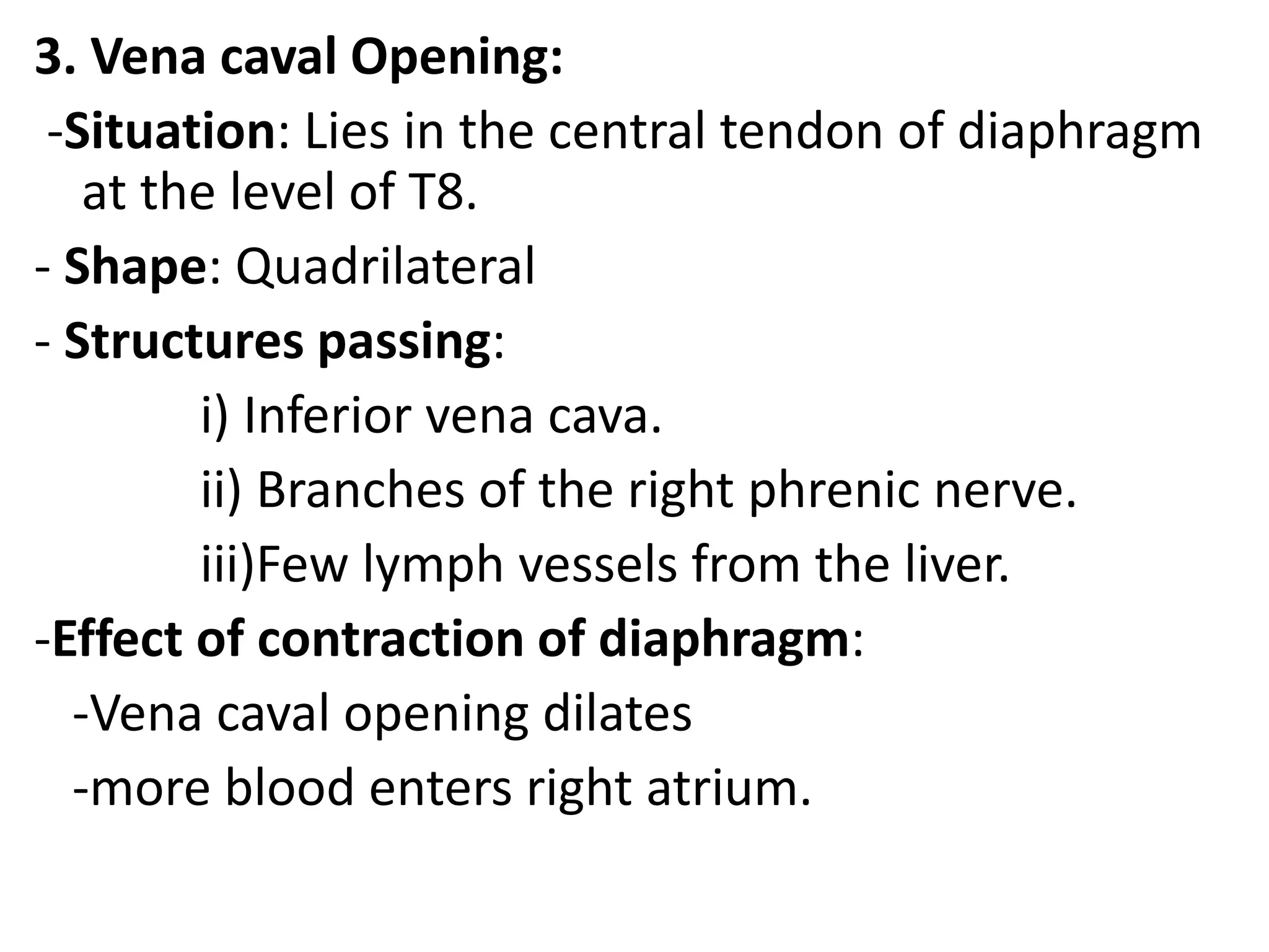 Anatomy of The Diaphragm | PPTX