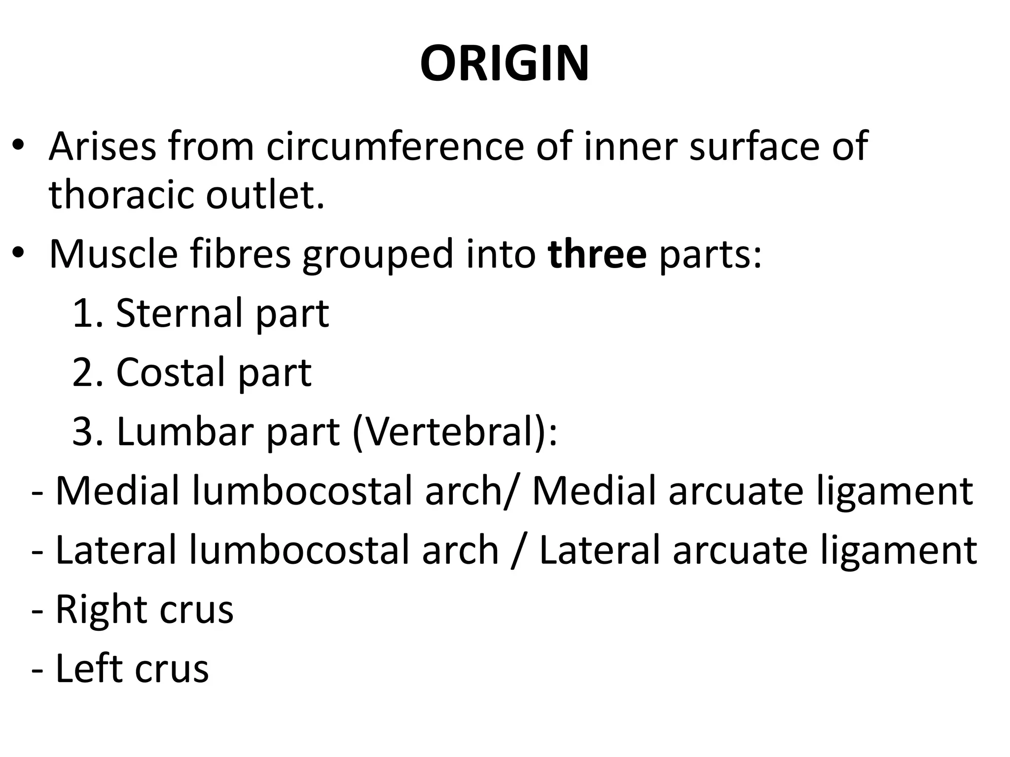Anatomy of The Diaphragm | PPTX