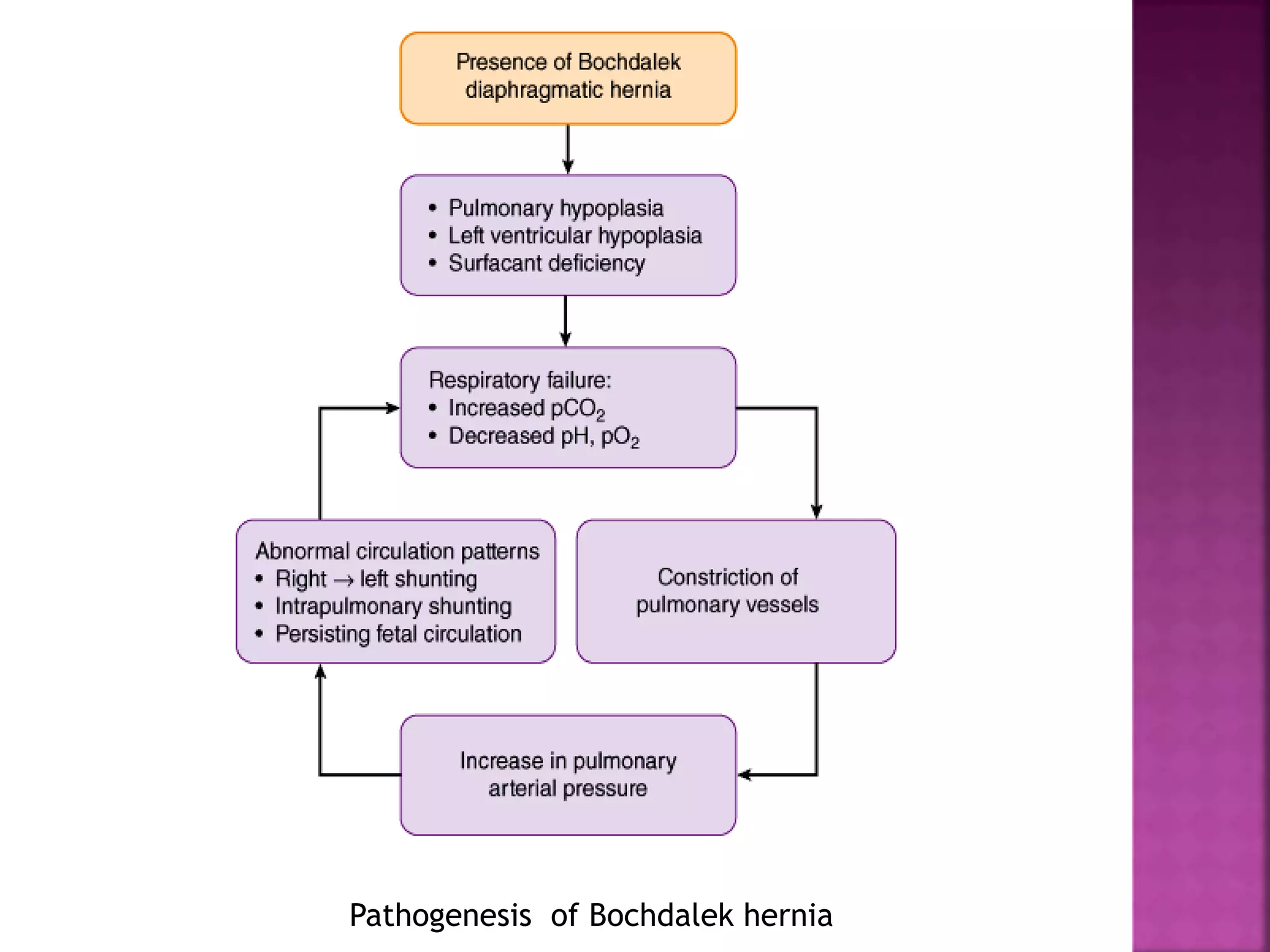 Diaphragmatic Disorders | PPTX
