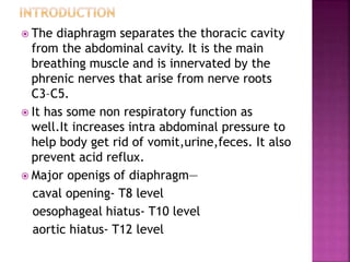 Diaphragmatic Disorders | PPTX
