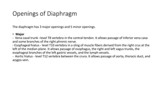 DISORDERS OF Diaphragm.pptx