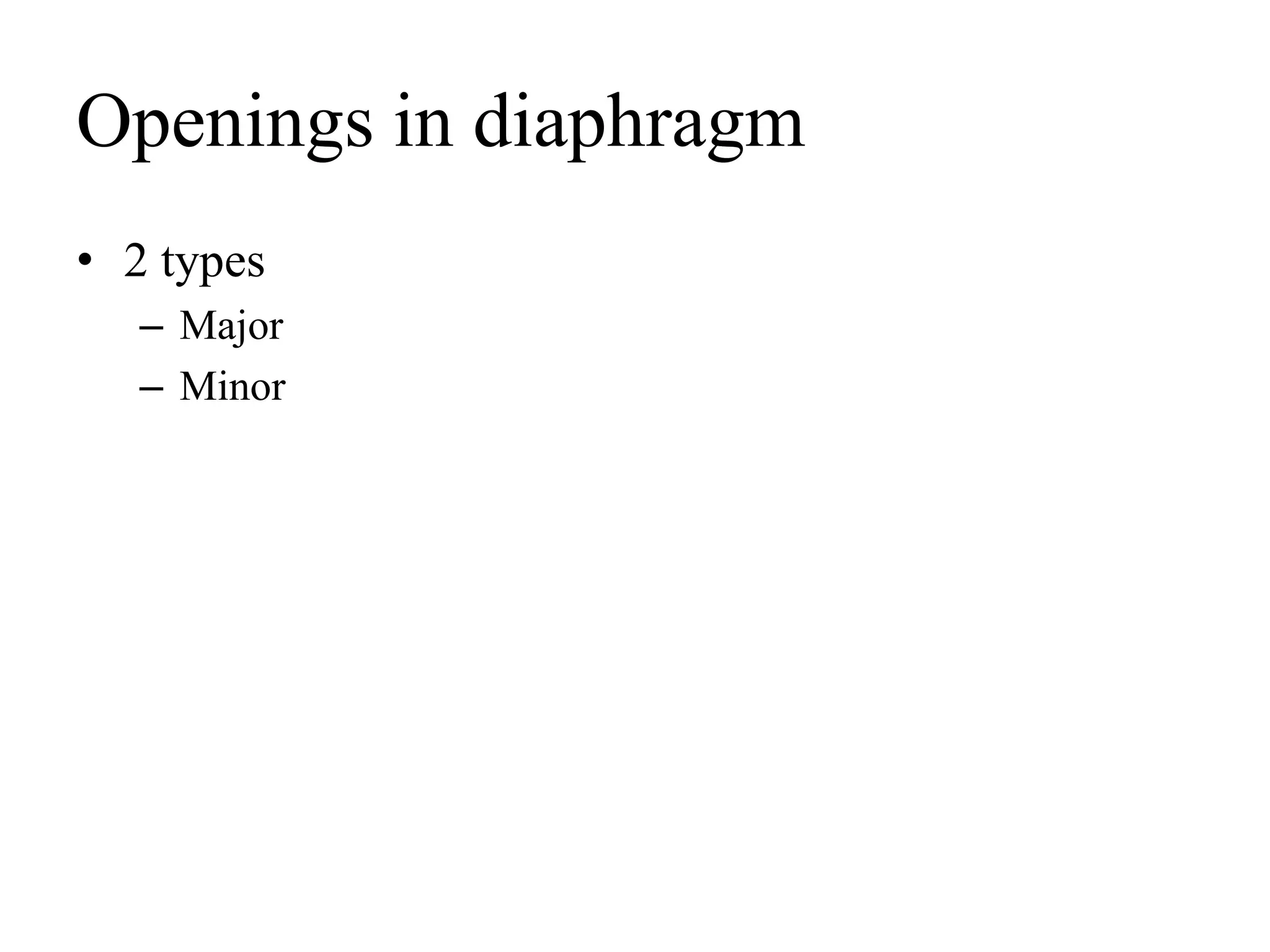 diaphragm.pptx