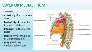 Diaphragm. Accessory muscles of respiration thoracic duct.pptx