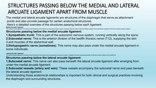 Diaphragm. Accessory muscles of respiration thoracic duct.pptx