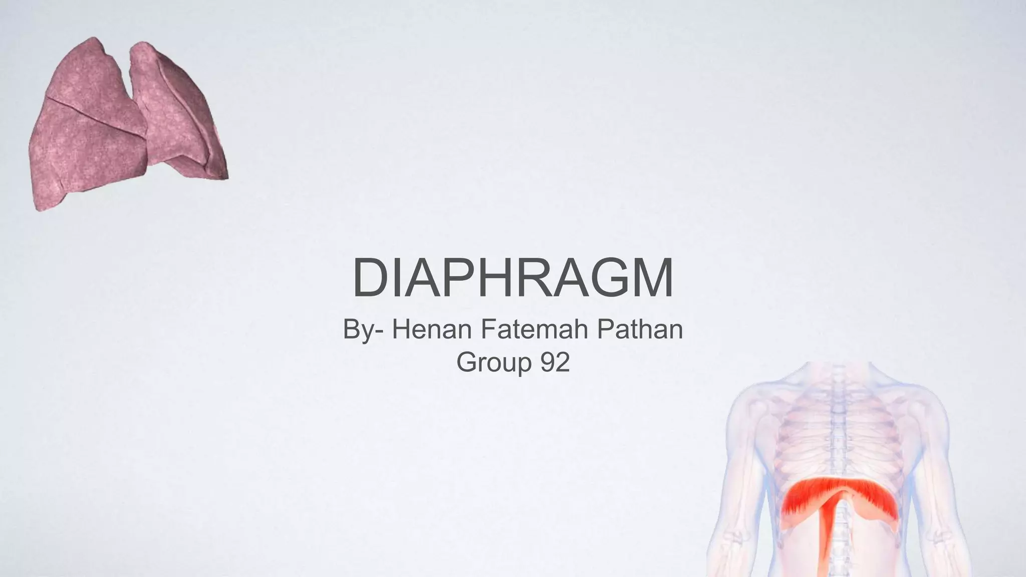DIAPHRAGM | PPTX