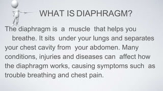 DIAPHRAGM | PPTX