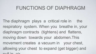 DIAPHRAGM | PPTX