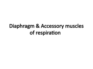 diaphragm &accessory muscles of respiration.pptx