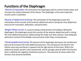 diaphragm &accessory muscles of respiration.pptx