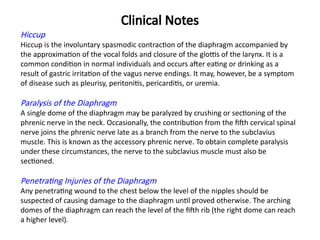 diaphragm &accessory muscles of respiration.pptx