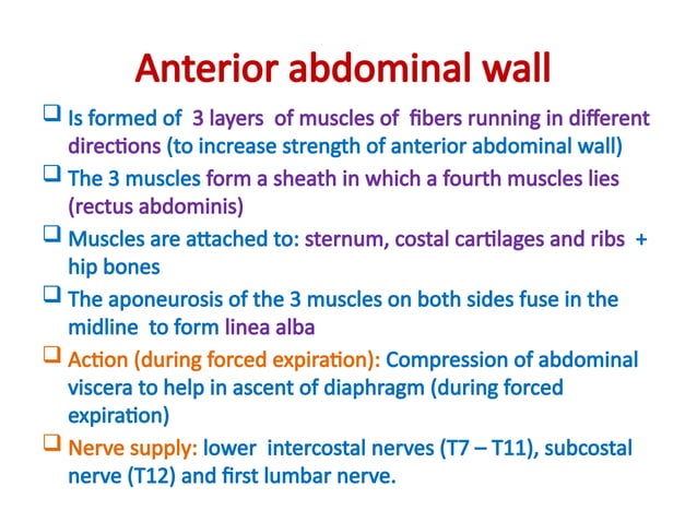 diaphragm &accessory muscles of respiration.pptx