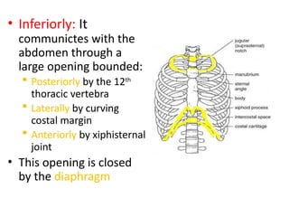 diaphragm &accessory muscles of respiration.pptx