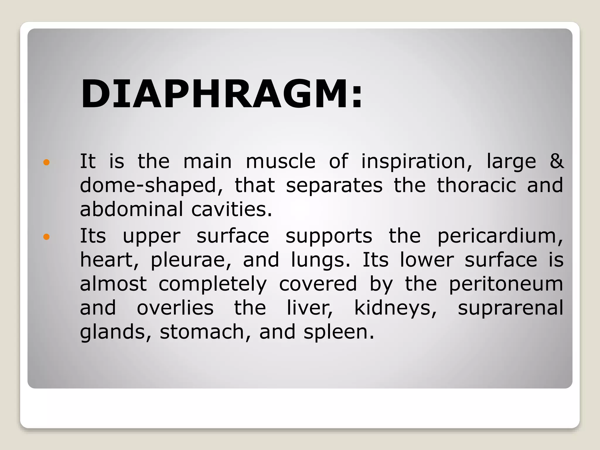 diaphragm assessment.pdf