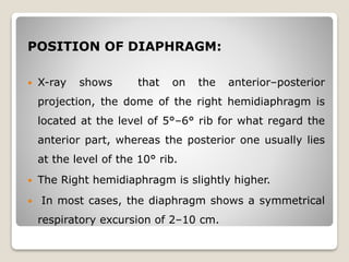 diaphragm assessment.pdf