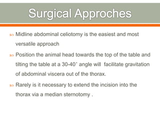 Diaphragmatic hernia | PPTX