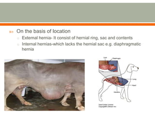 Diaphragmatic hernia | PPTX