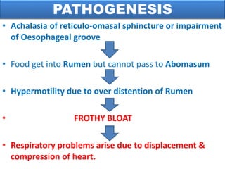 Diaphragmatic hernia.pptx