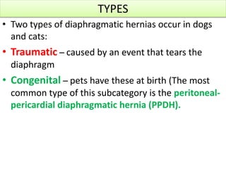 Diaphragmatic hernia.pptx