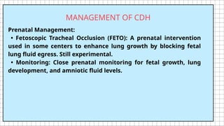 Diaphragmatic Hernia: Understanding the Anatomy, Diagnosis, and ...