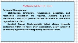 Diaphragmatic Hernia: Understanding the Anatomy, Diagnosis, and ...
