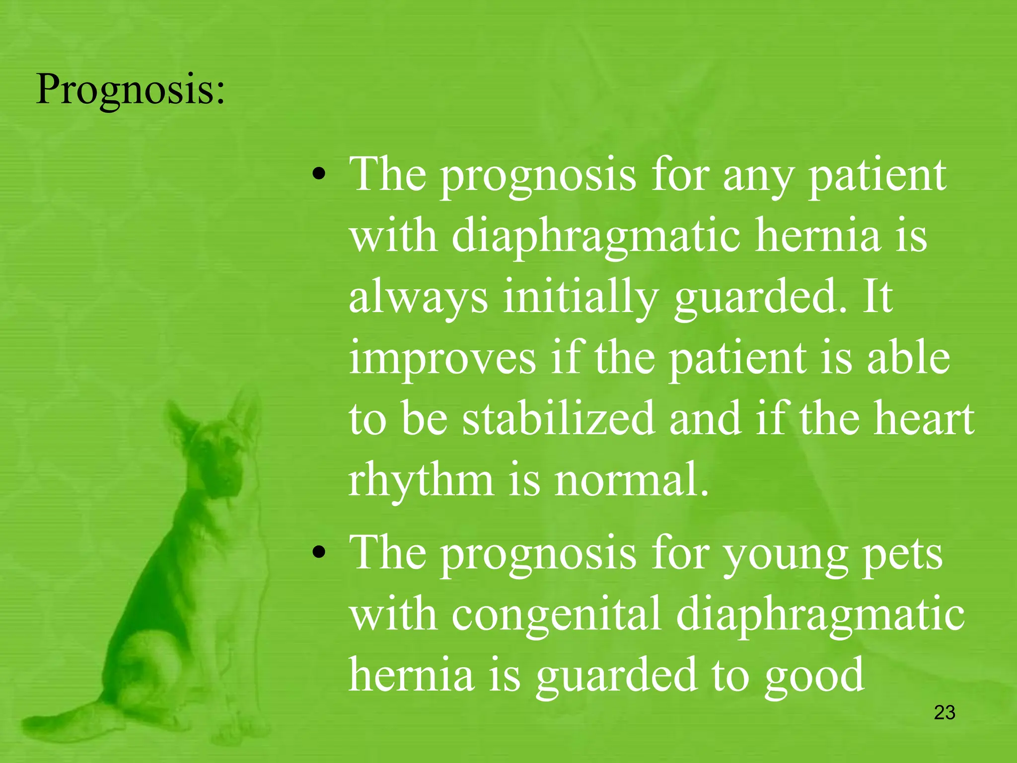 Diaphragmatic hernia in dog.pptx