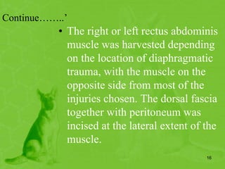 Diaphragmatic hernia in dog.pptx
