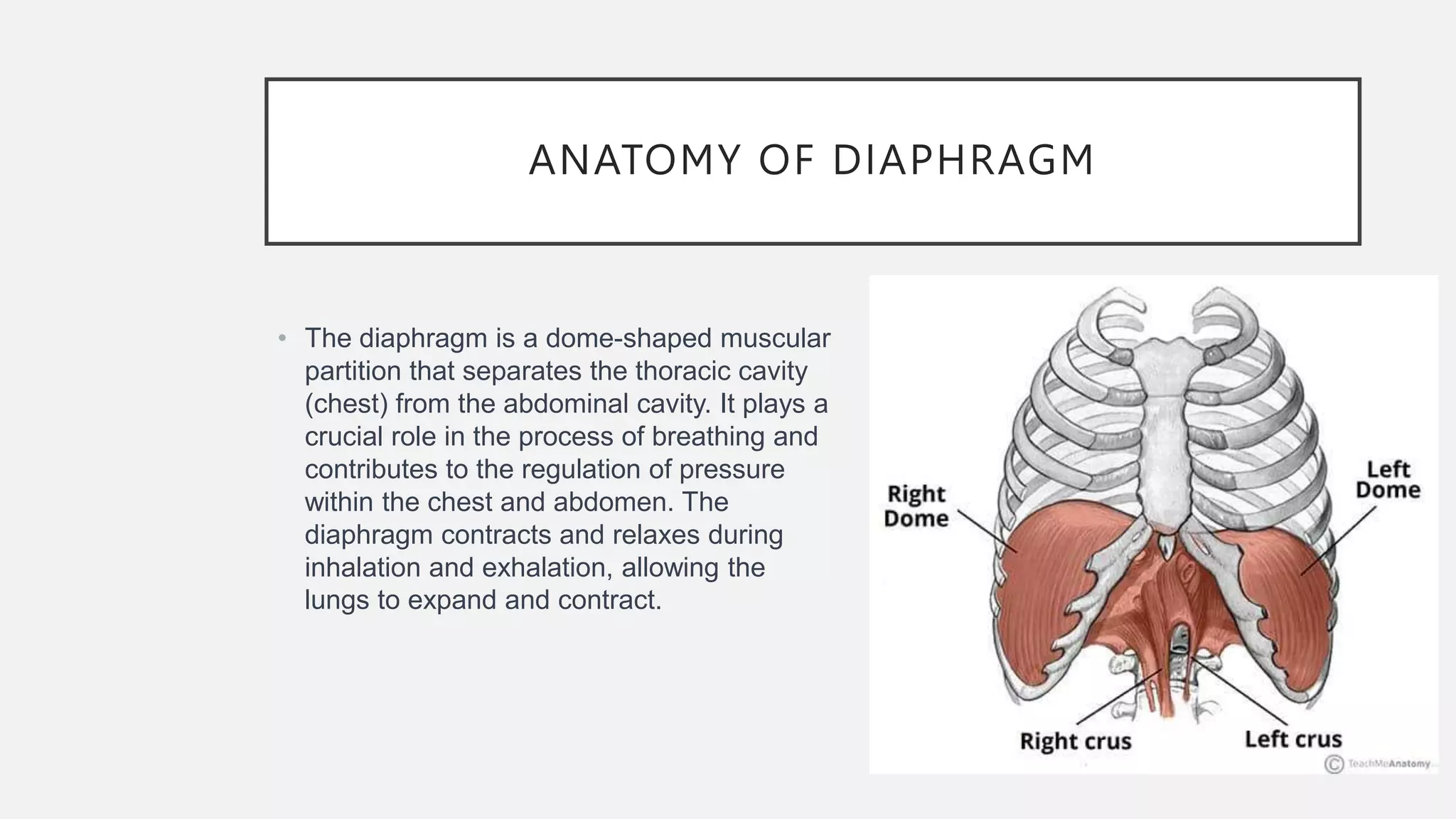 Diaphragmatic HERNIA REPAIR.pptx