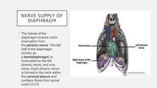 Diaphragmatic HERNIA REPAIR.pptx