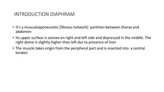 DIAPHRAGM | PPTX