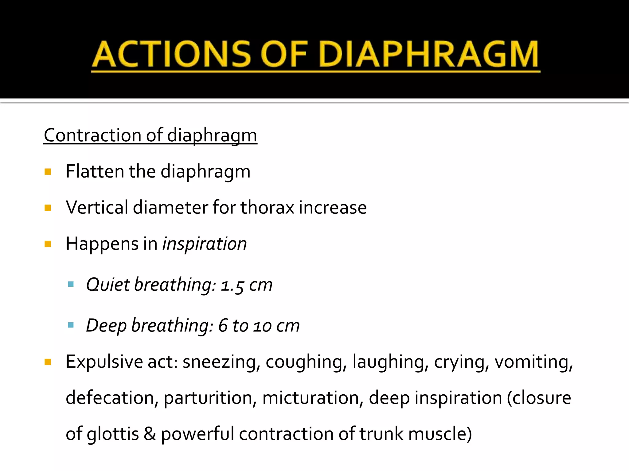 Diaphragm Anatomy | PPTX