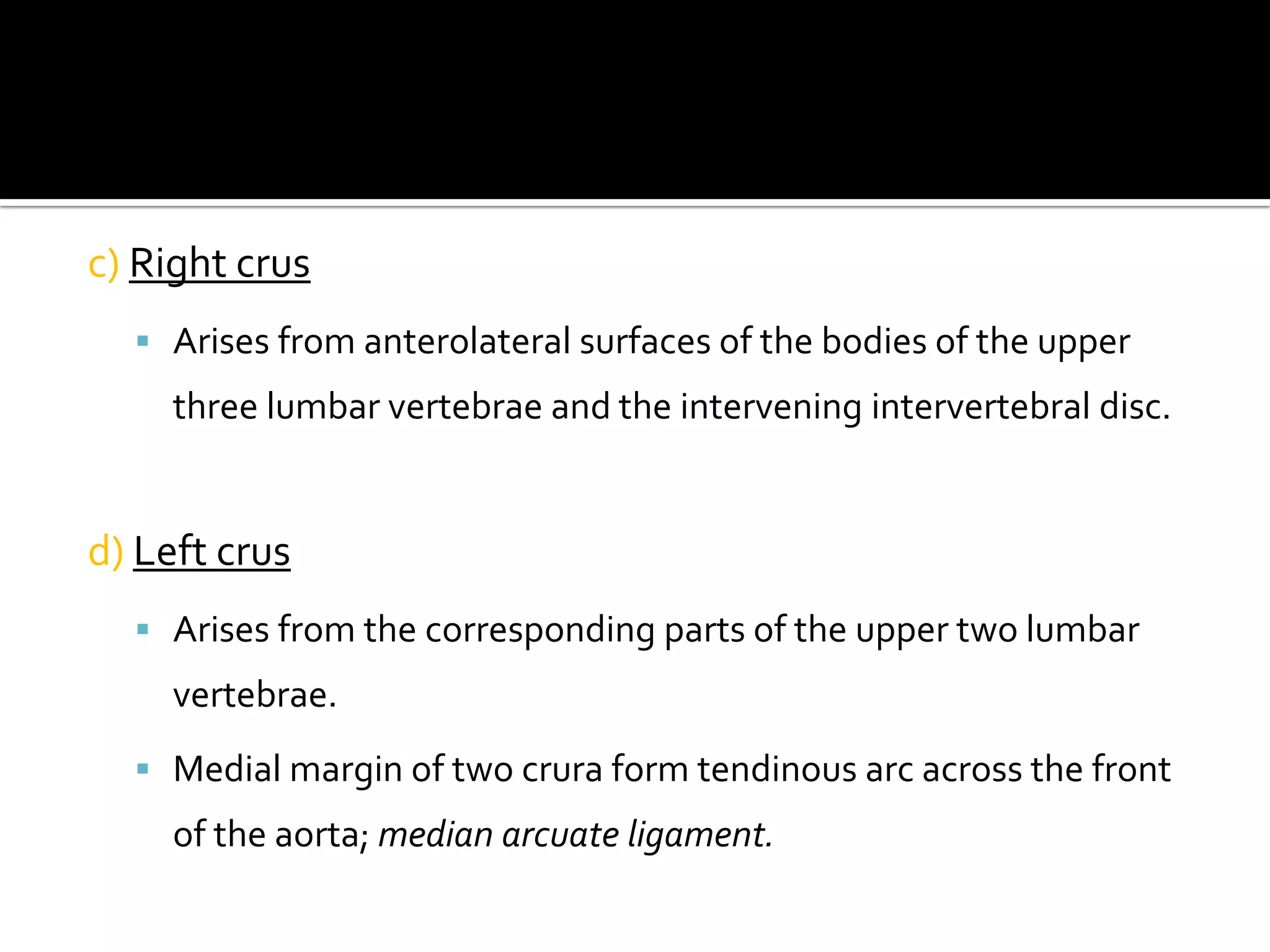 Diaphragm Anatomy | PPTX